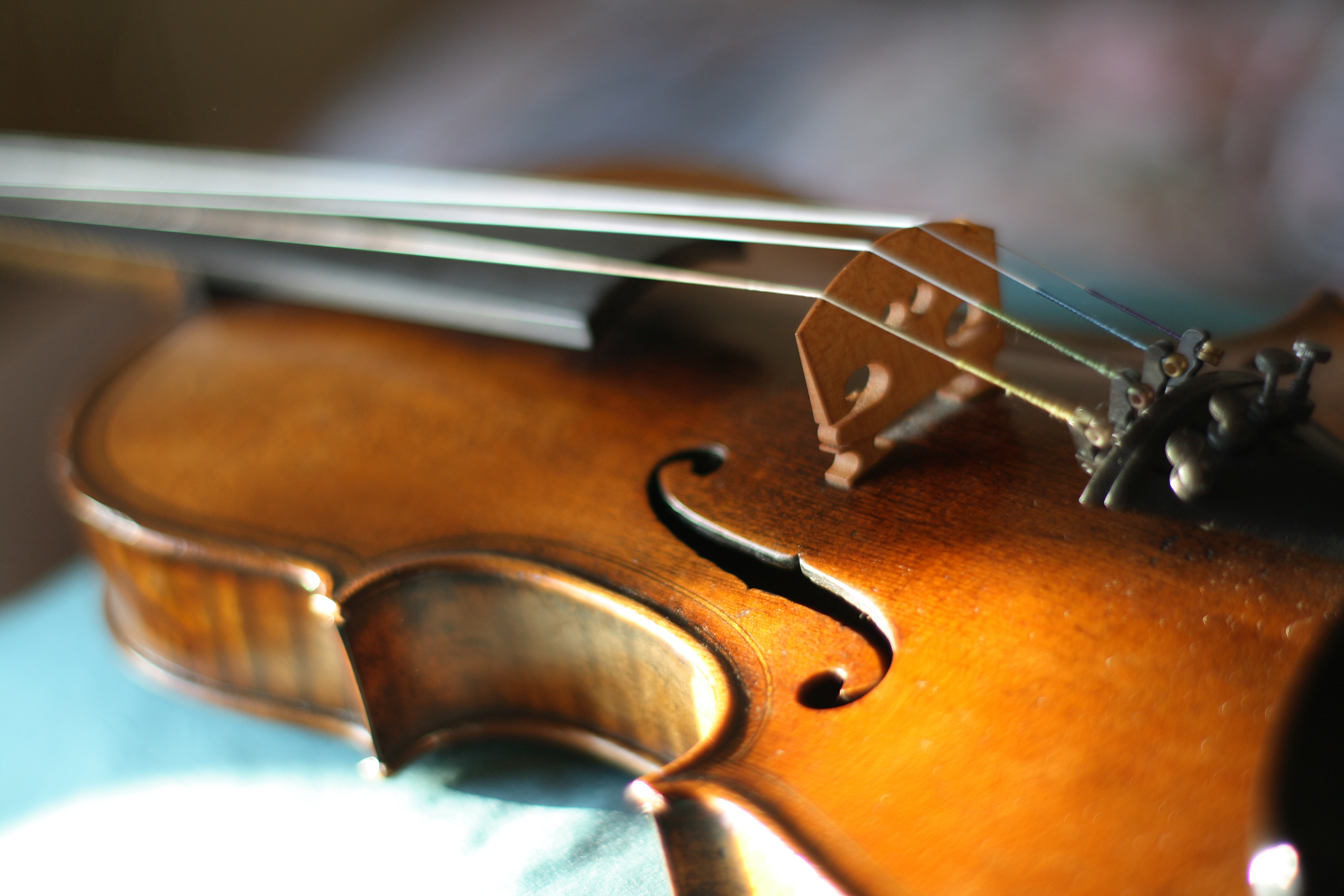 What s The Difference Between A Violin And A Viola Classic FM