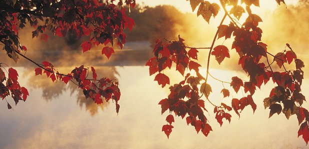 Brahms - Symphony No. 3 in F - Classic FM