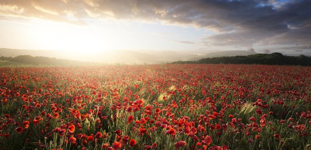 War Requiem: The complete text - Classic FM