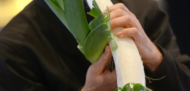 The Vegetable Orchestra - Classic FM